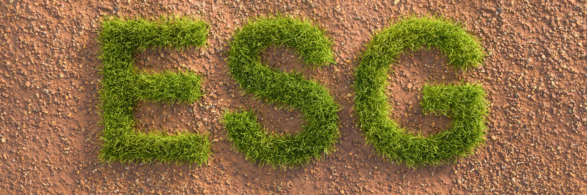 ESG: O Caminho para a Sustentabilidade na Era da Responsabilidade ...